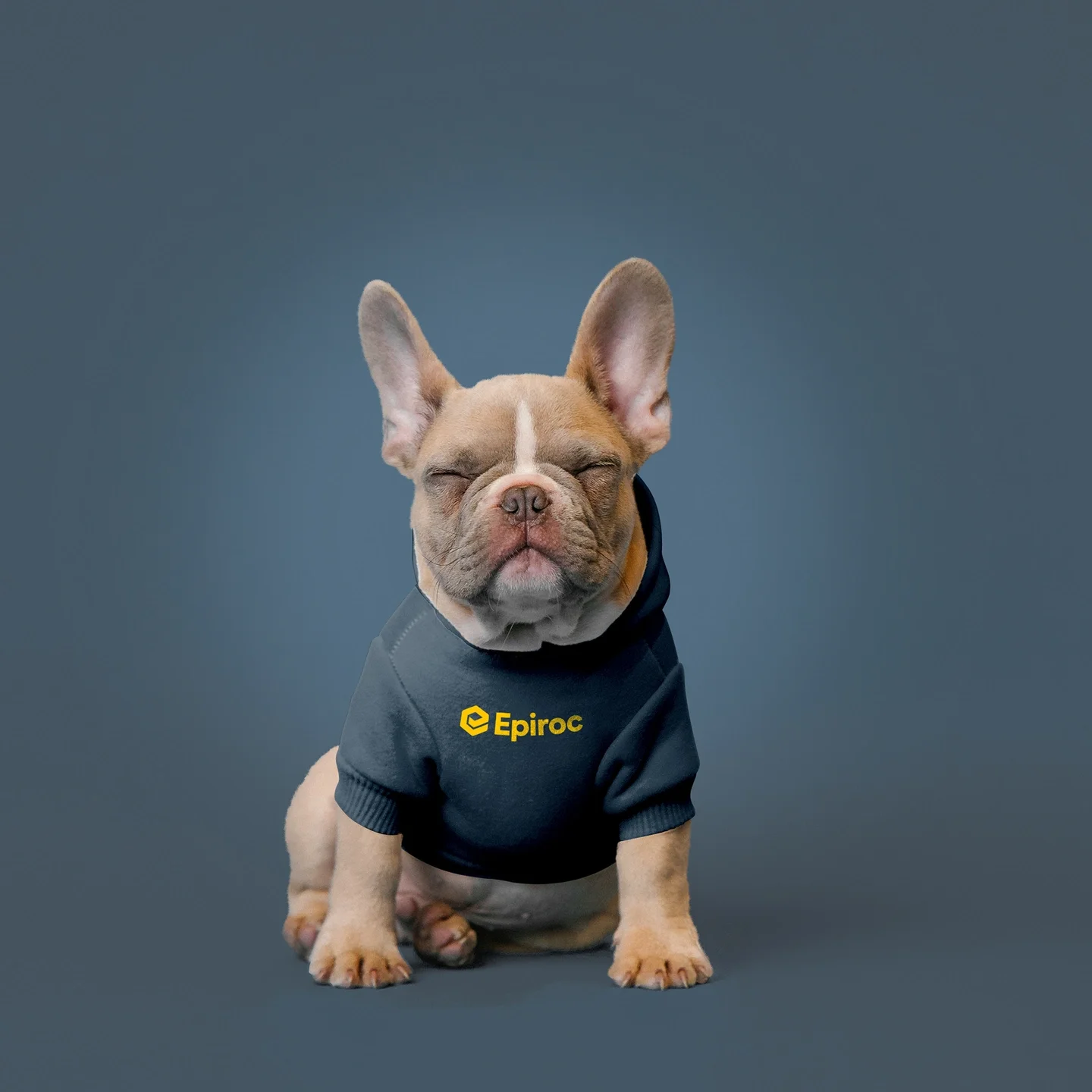 Inspiration Epiroc Profilestore